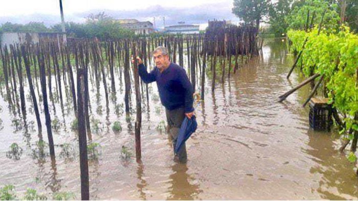 Maltempo: alberi caduti, strade allagate e campi coltivati immersi nel fango - Ottopagine.it Napoli